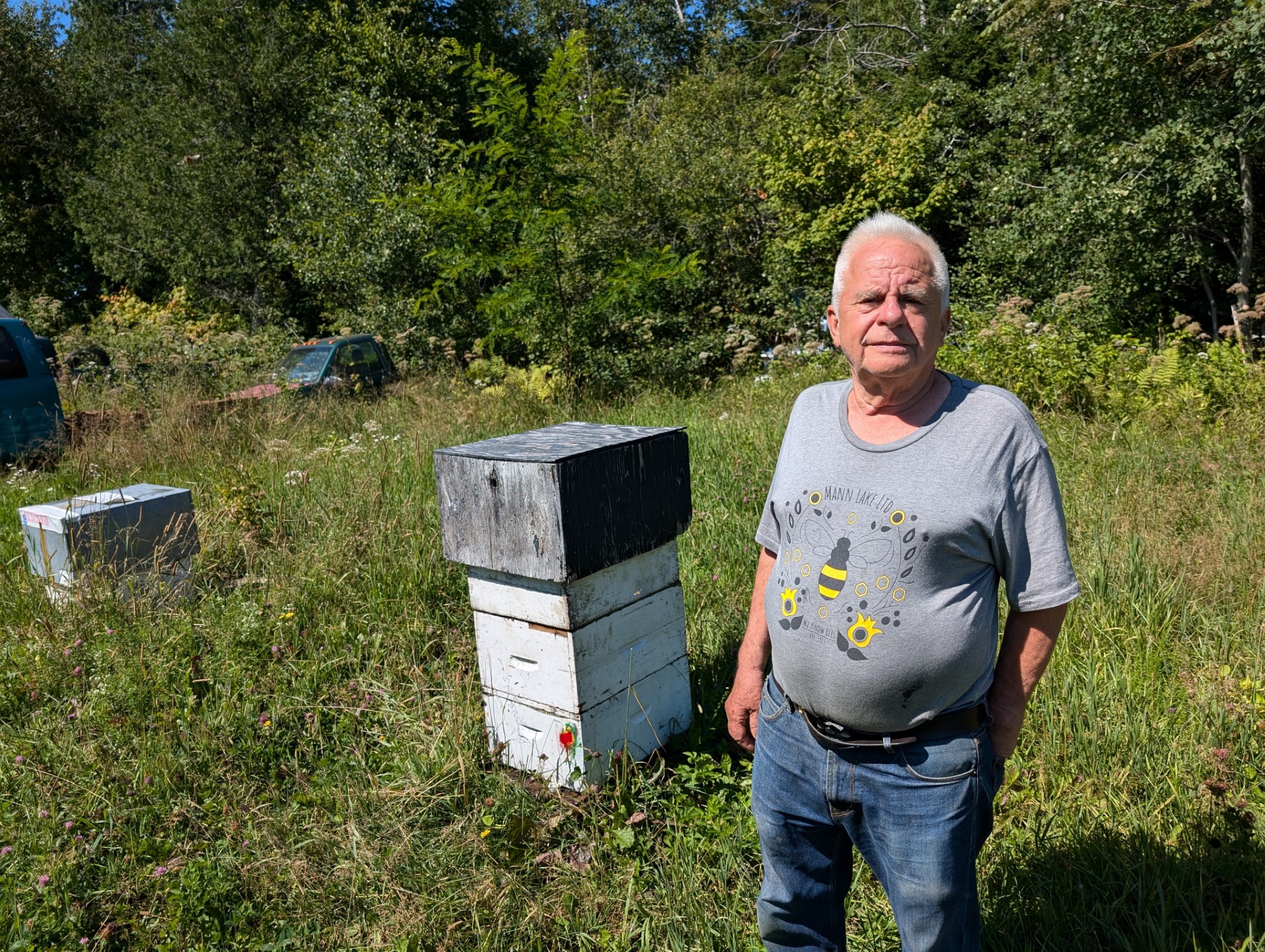 Les insecticides nuisent à la production de nectar selon l’apiculteur ...